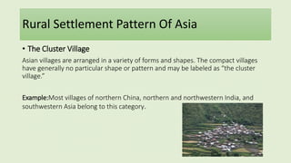 Rural Settlement Of Asia | PPTX