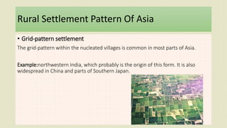 Rural Settlement Of Asia | PPTX