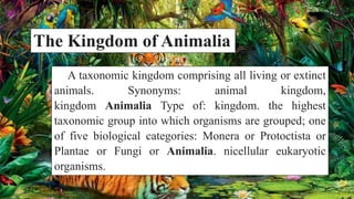 Animalia | PPT
