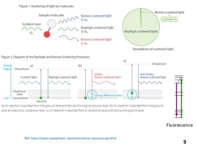 dynamic light scattering