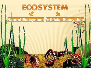 Ecosystem | PPTX