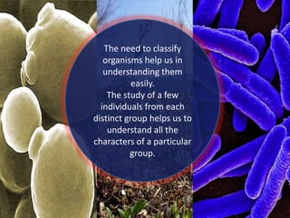 Classification and variation | PPTX | Reptiles | Pets