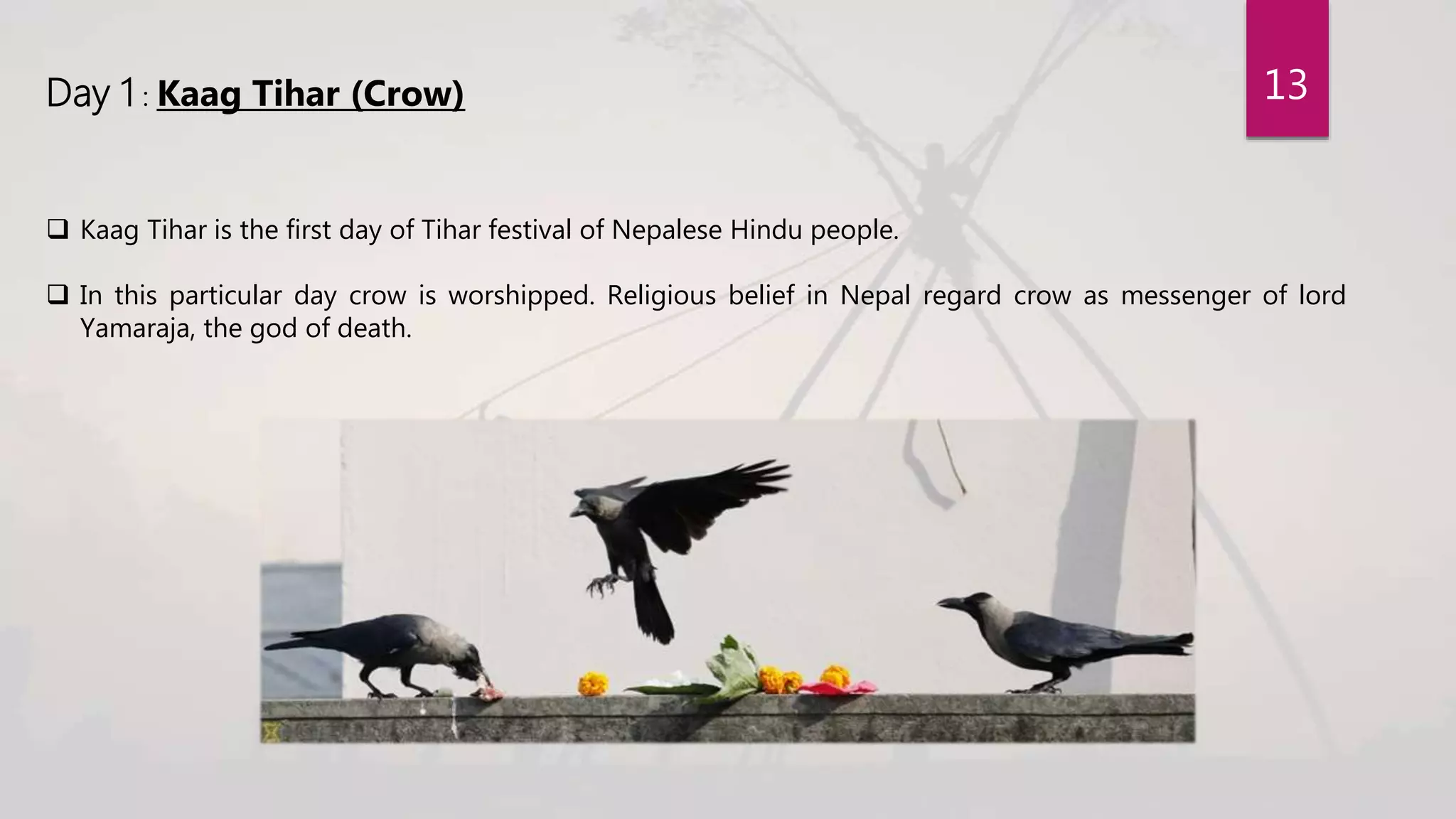 Dashain and tihar 2018 ppt (Nepalese) | PPTX