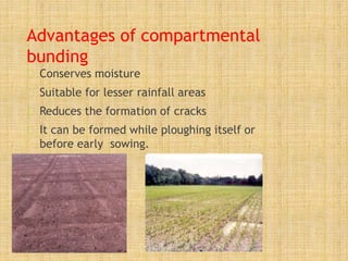 Presentation 1 | PPTX