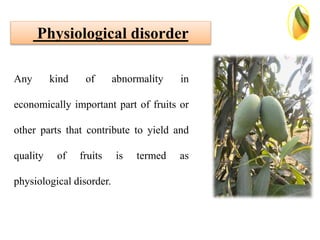 Important Physiological Disorders of Mango | PPTX