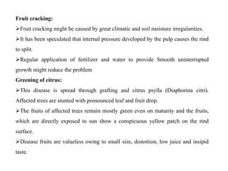 Citrus: An over view | PPTX | Gardening | Home & Garden