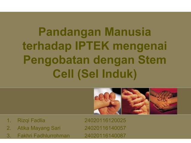 STEM CELL BIOETIKA | PPTX