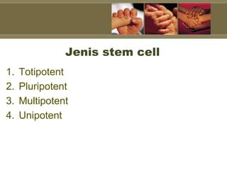 STEM CELL BIOETIKA | PPTX