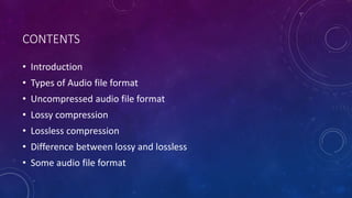 Audio file format in computer graphic | PPTX