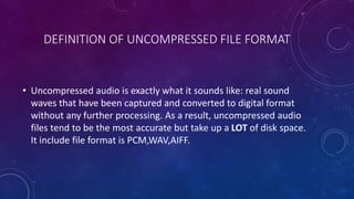 Audio file format in computer graphic | PPTX