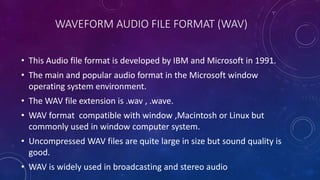 Audio file format in computer graphic | PPTX
