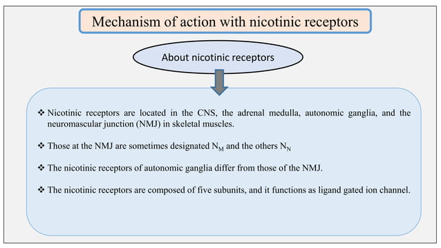 parasympathomimetic drugs or agents | PPTX | Brain and Nervous System ...