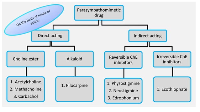 parasympathomimetic drugs or agents | PPTX | Brain and Nervous System ...