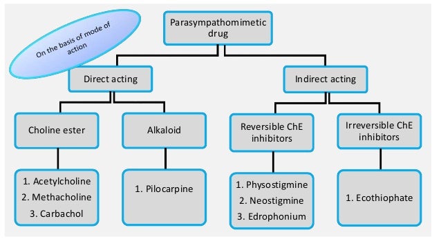 parasympathomimetic drugs or agents