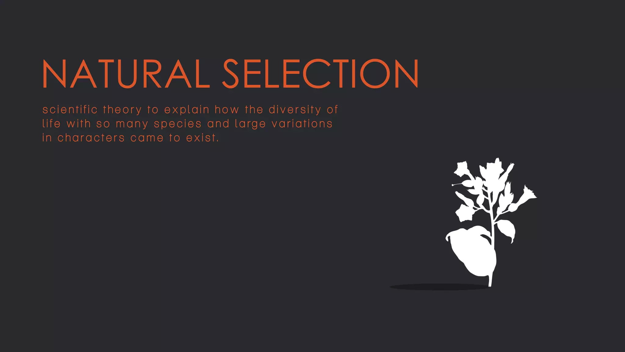 Natural Selection | PPT