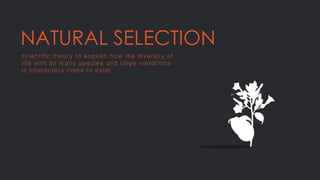 Natural Selection | PPT