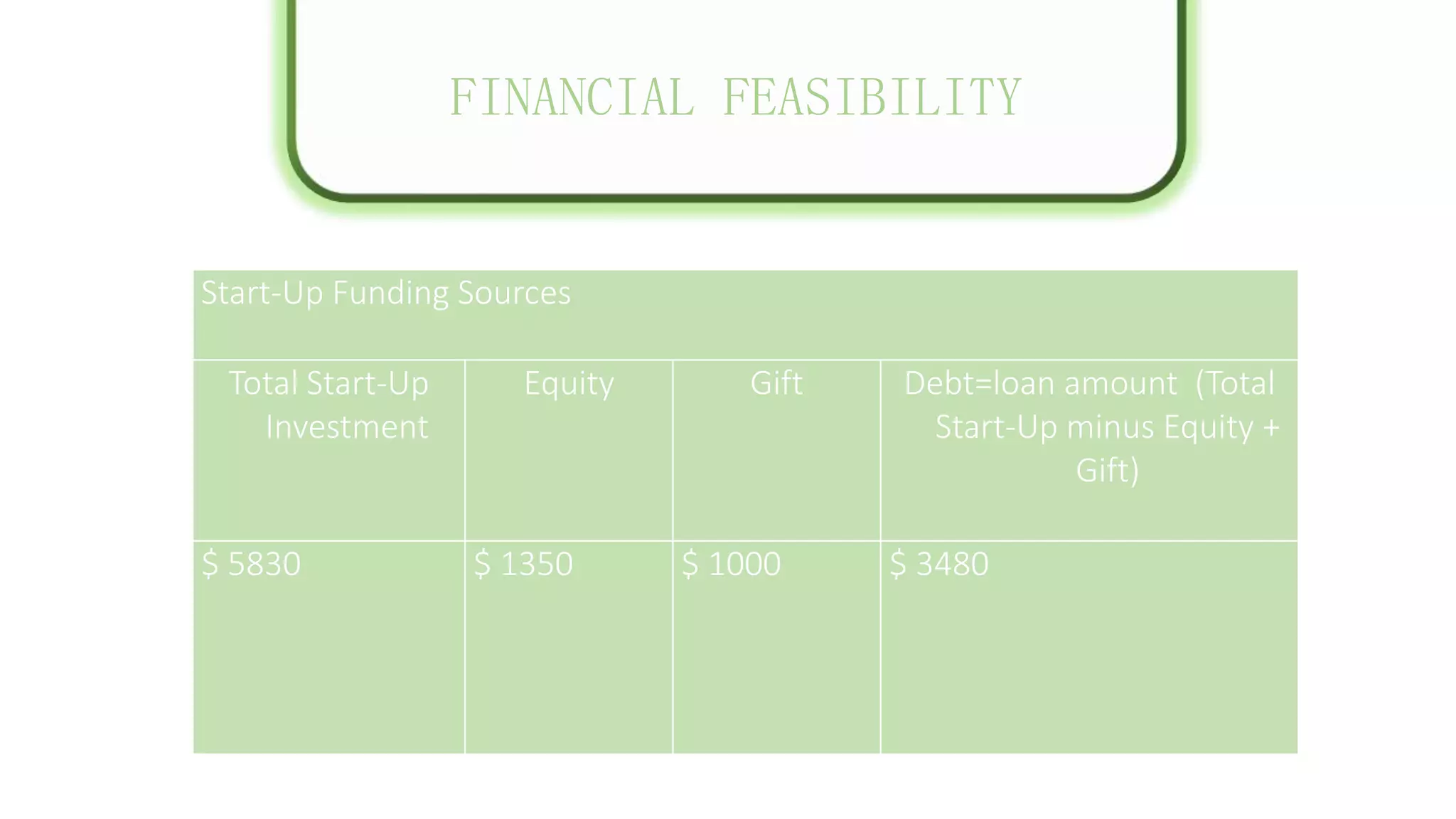 feasibility plan | PPTX