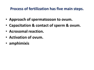 fertilization | PPTX | Infertility | Reproductive Health