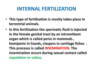 fertilization | PPTX