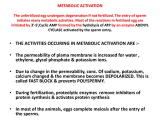 fertilization | PPTX
