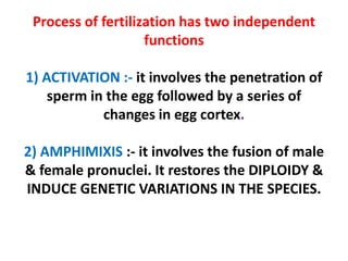 fertilization | PPTX
