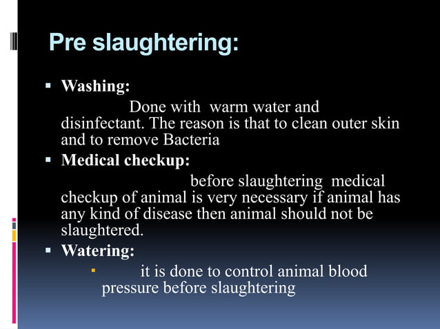 Halal Meat Slaughtering | PPTX | Islam | Religion & Spirituality