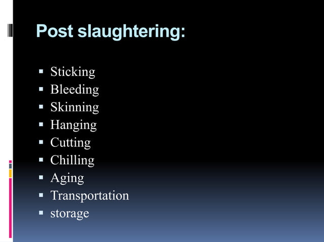 Halal Meat Slaughtering | PPTX | Islam | Religion & Spirituality