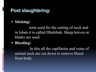 Halal Meat Slaughtering | PPTX