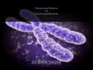 Chromosomal aberrations or mutations | PPTX