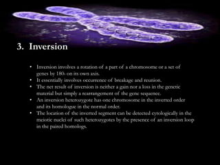 Chromosomal aberrations or mutations | PPTX