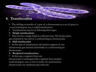 Chromosomal aberrations or mutations | PPTX