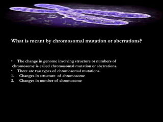 Chromosomal aberrations or mutations | PPTX