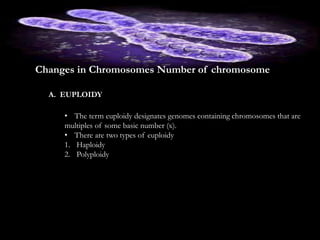 Chromosomal aberrations or mutations | PPTX