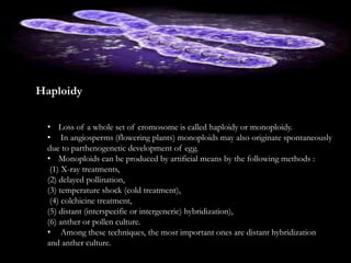 Chromosomal aberrations or mutations | PPTX