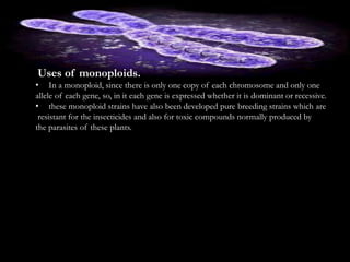 Chromosomal aberrations or mutations | PPTX
