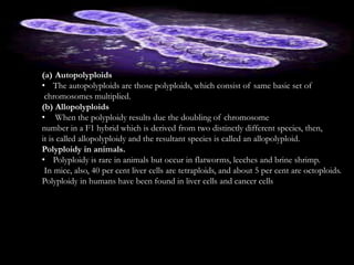 Chromosomal aberrations or mutations | PPTX