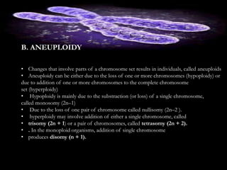 Chromosomal aberrations or mutations | PPTX