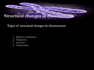 Chromosomal aberrations or mutations | PPTX