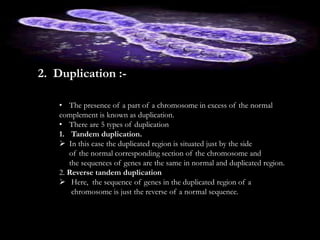 Chromosomal aberrations or mutations | PPTX