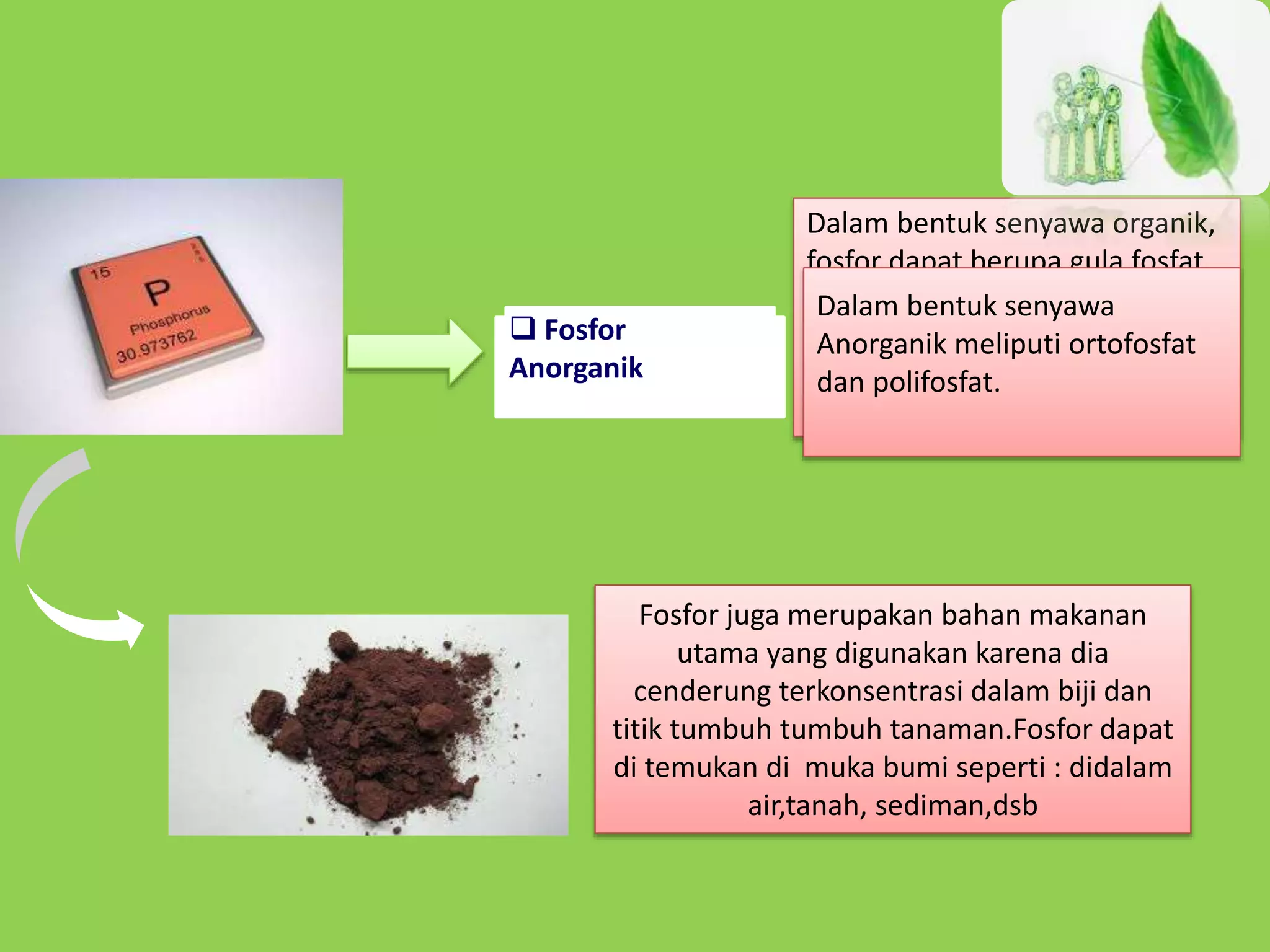 Presentation1.pptx elsa bioanorganik | PPTX