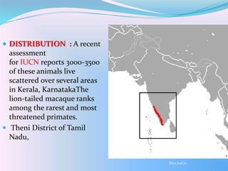 THRETENED MAMMALS OF INDIA | PPTX