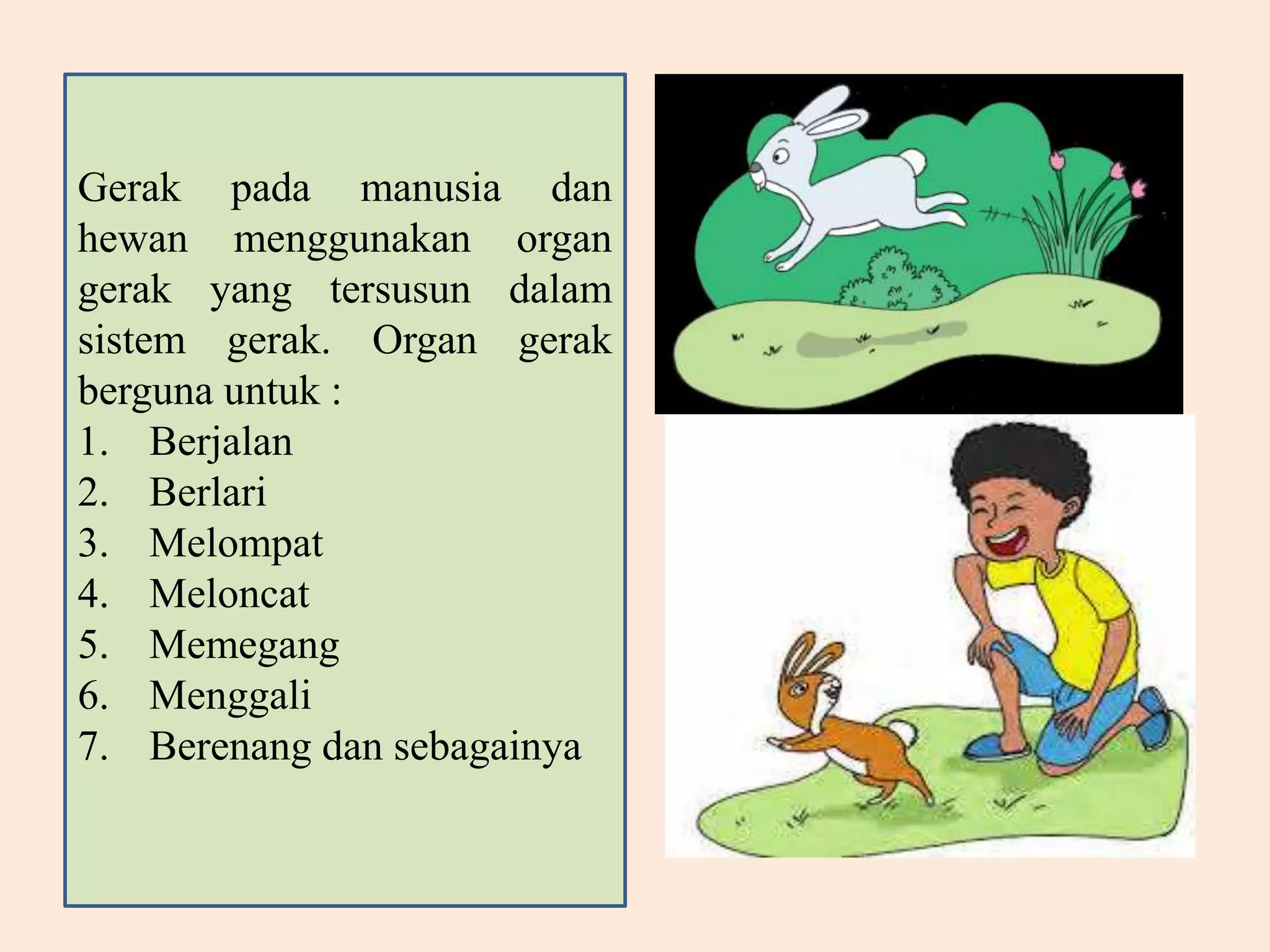 ppt kelas 5 SD | PPTX
