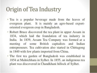 Tea Industry in Bangladesh | PPTX