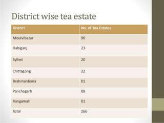 Tea Industry in Bangladesh | PPTX
