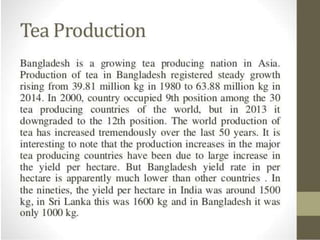 Tea Industry in Bangladesh | PPTX