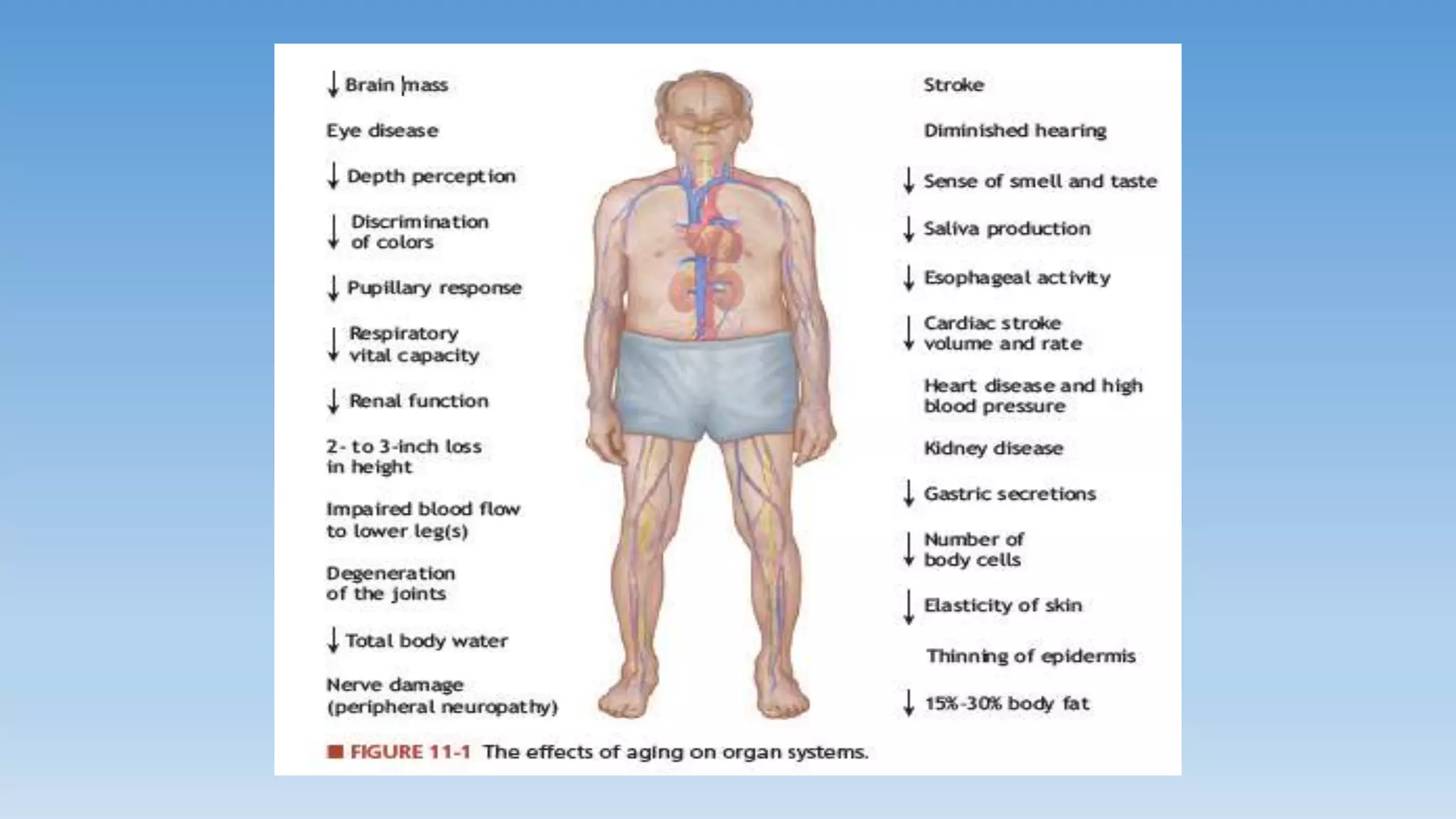 GERIATRIC TRAUMA | PPTX
