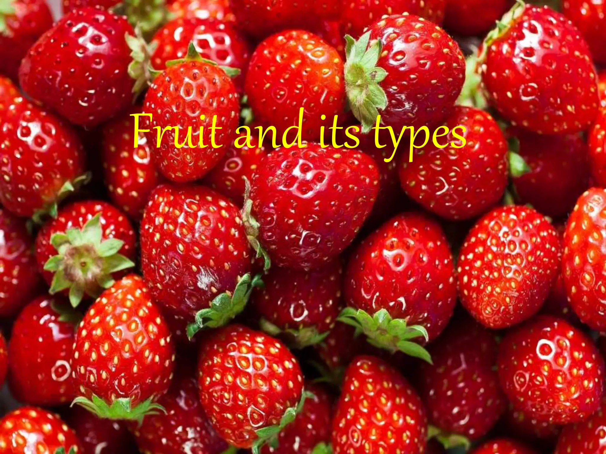 TYPES OF FLOWERS, FRUITS,DICOT AND MONOCOT SEEDS | PPTX