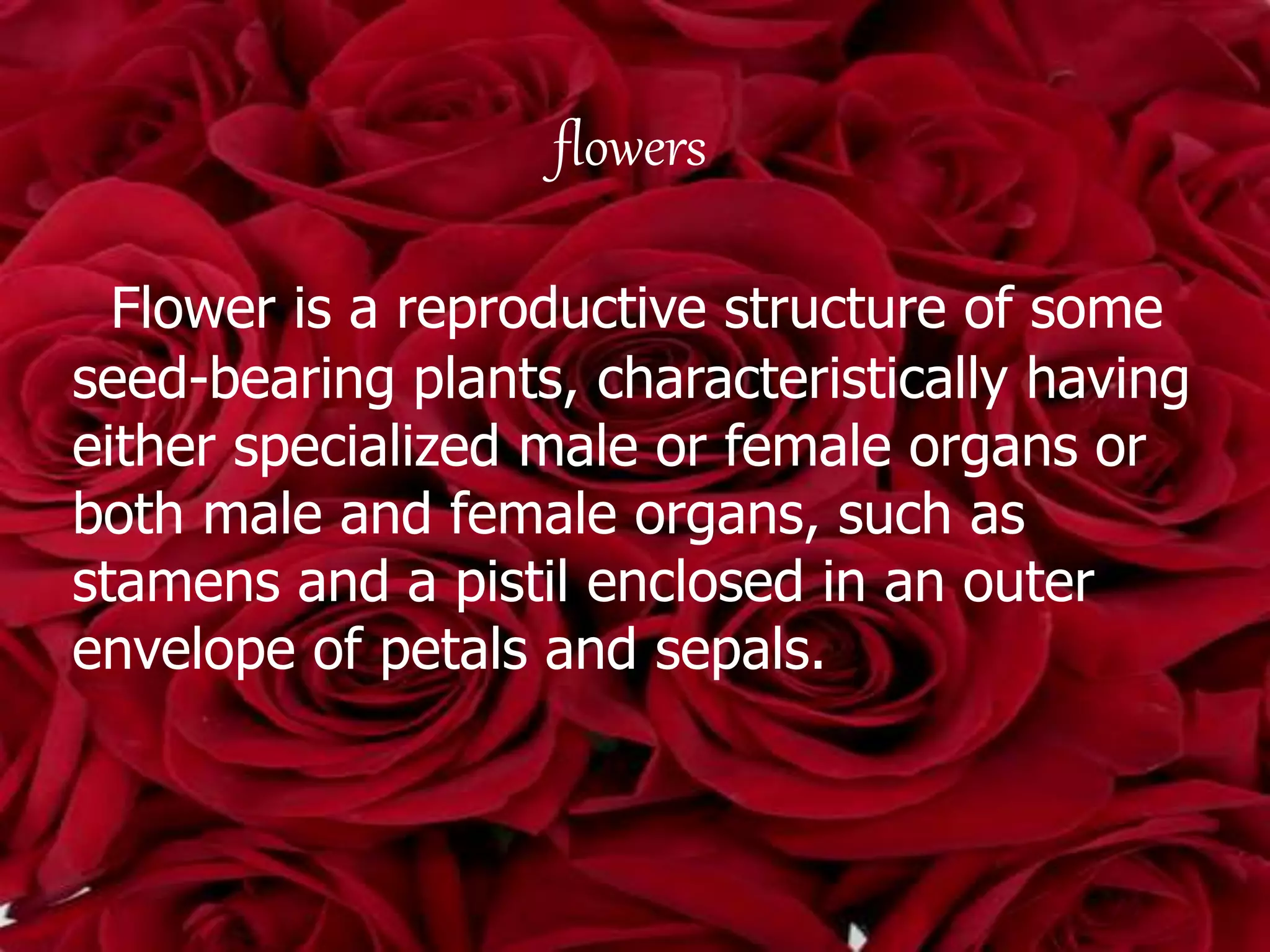 TYPES OF FLOWERS, FRUITS,DICOT AND MONOCOT SEEDS | PPTX