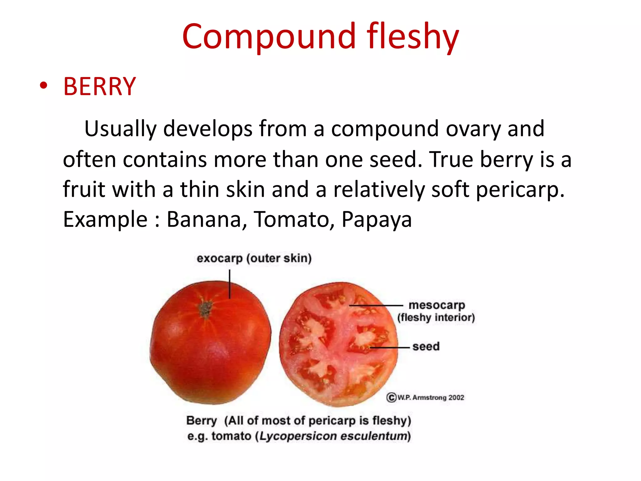 TYPES OF FLOWERS, FRUITS,DICOT AND MONOCOT SEEDS | PPTX
