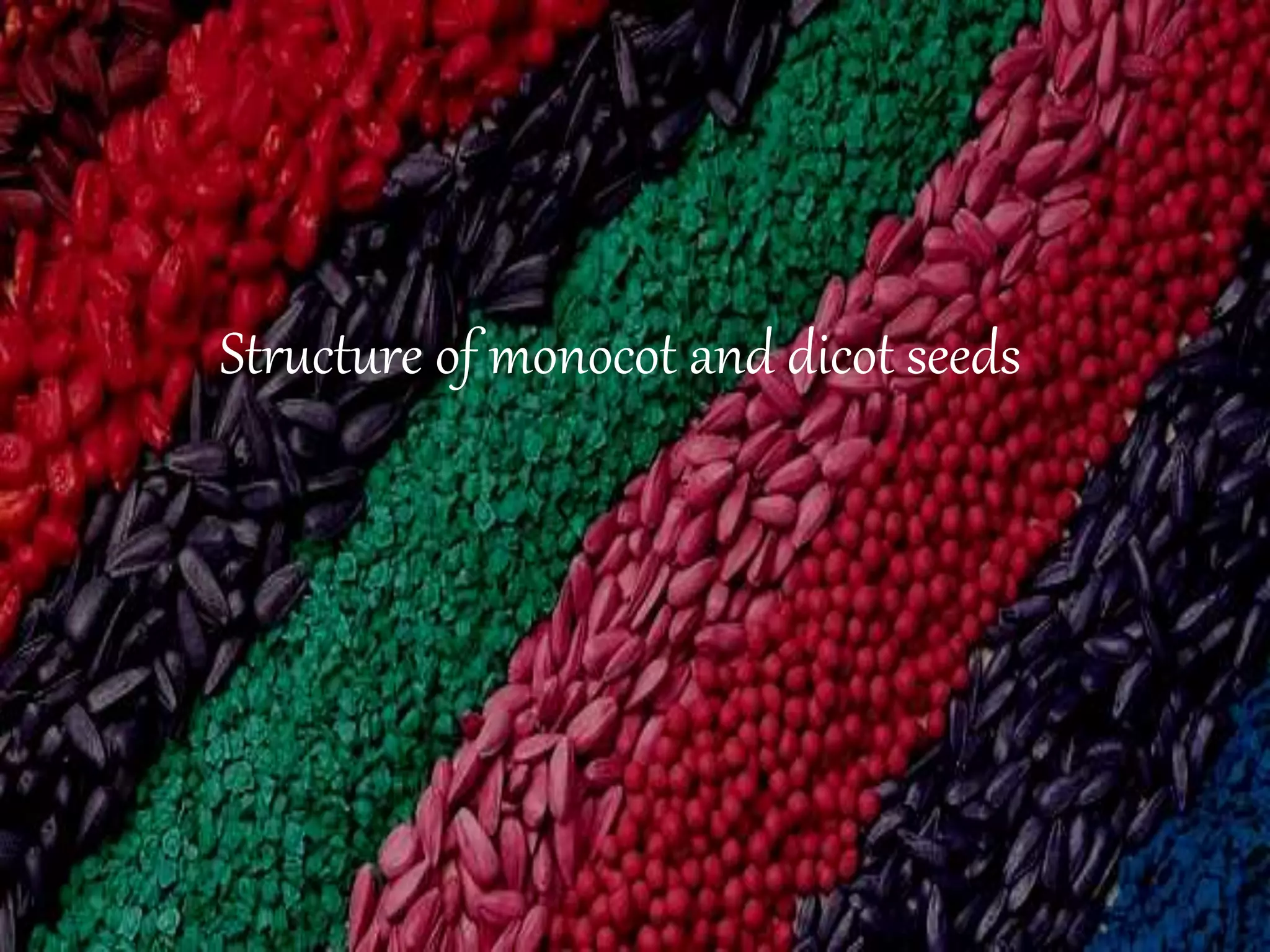 TYPES OF FLOWERS, FRUITS,DICOT AND MONOCOT SEEDS | PPTX